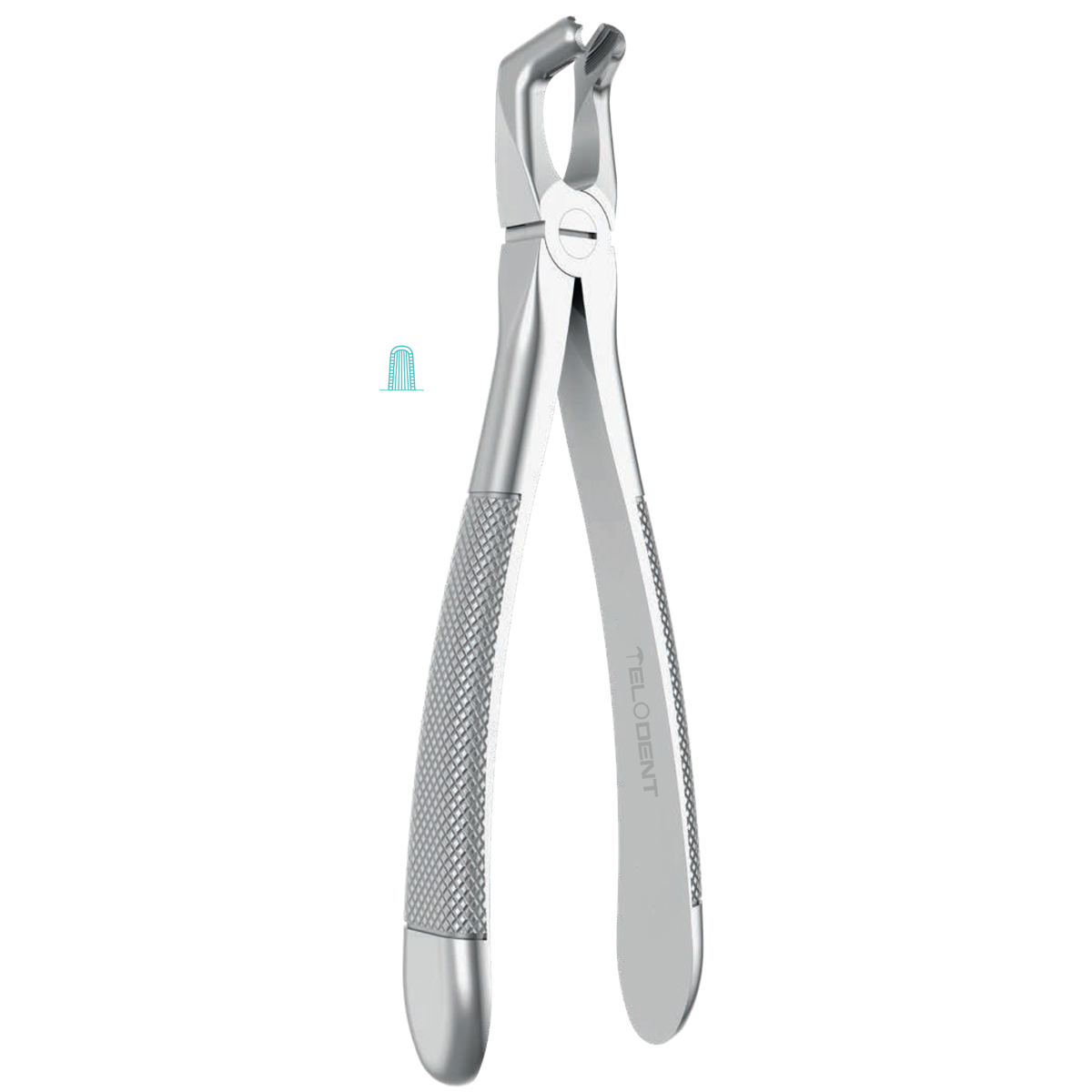 Extracting Forceps – Telo Dent Instruments
