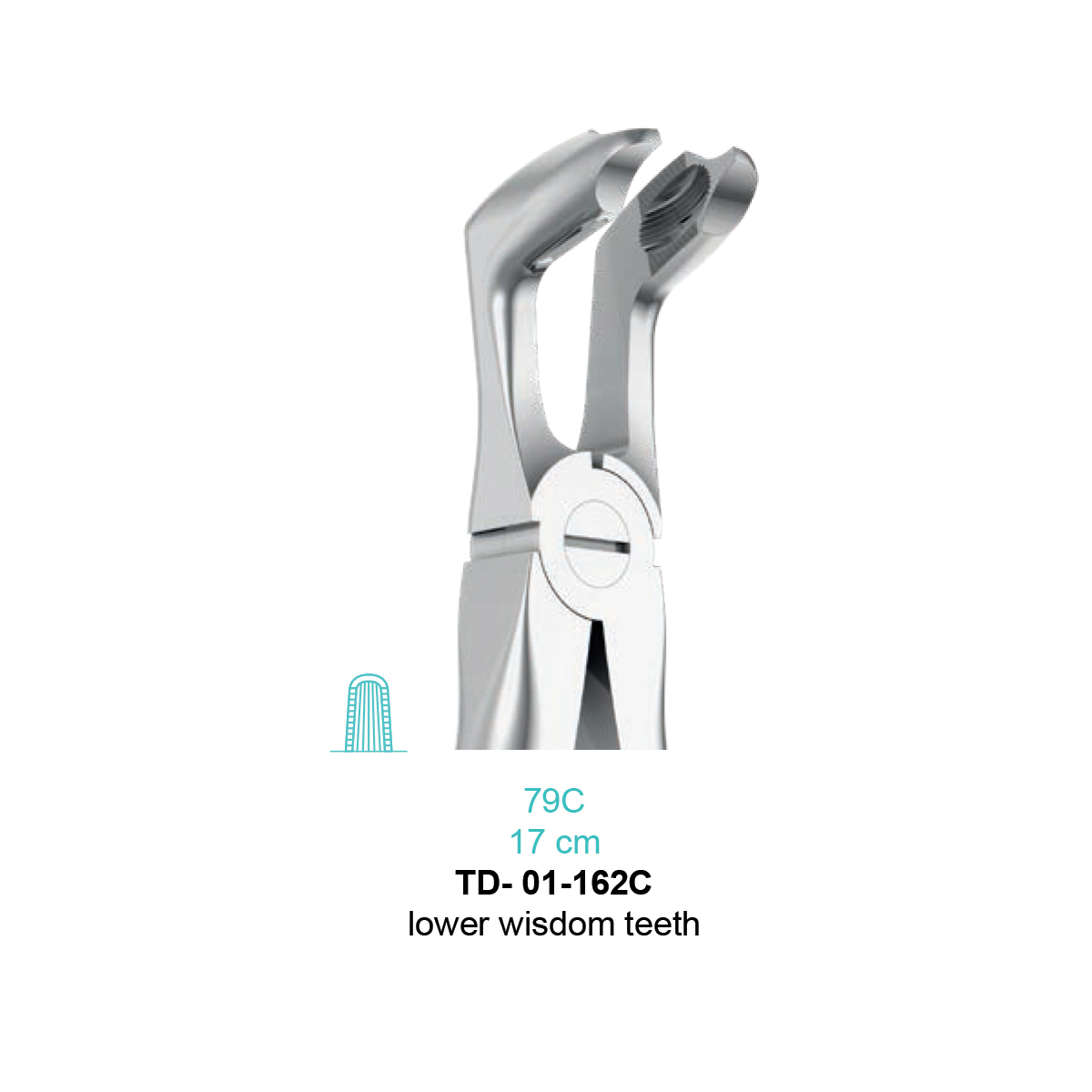 Extracting Forceps – Telo Dent Instruments
