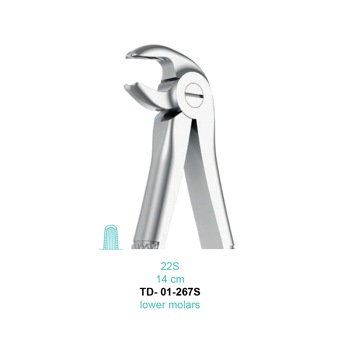 EXTRACTING FORCEPS FOR CHILDREN – Telo Dent Instruments