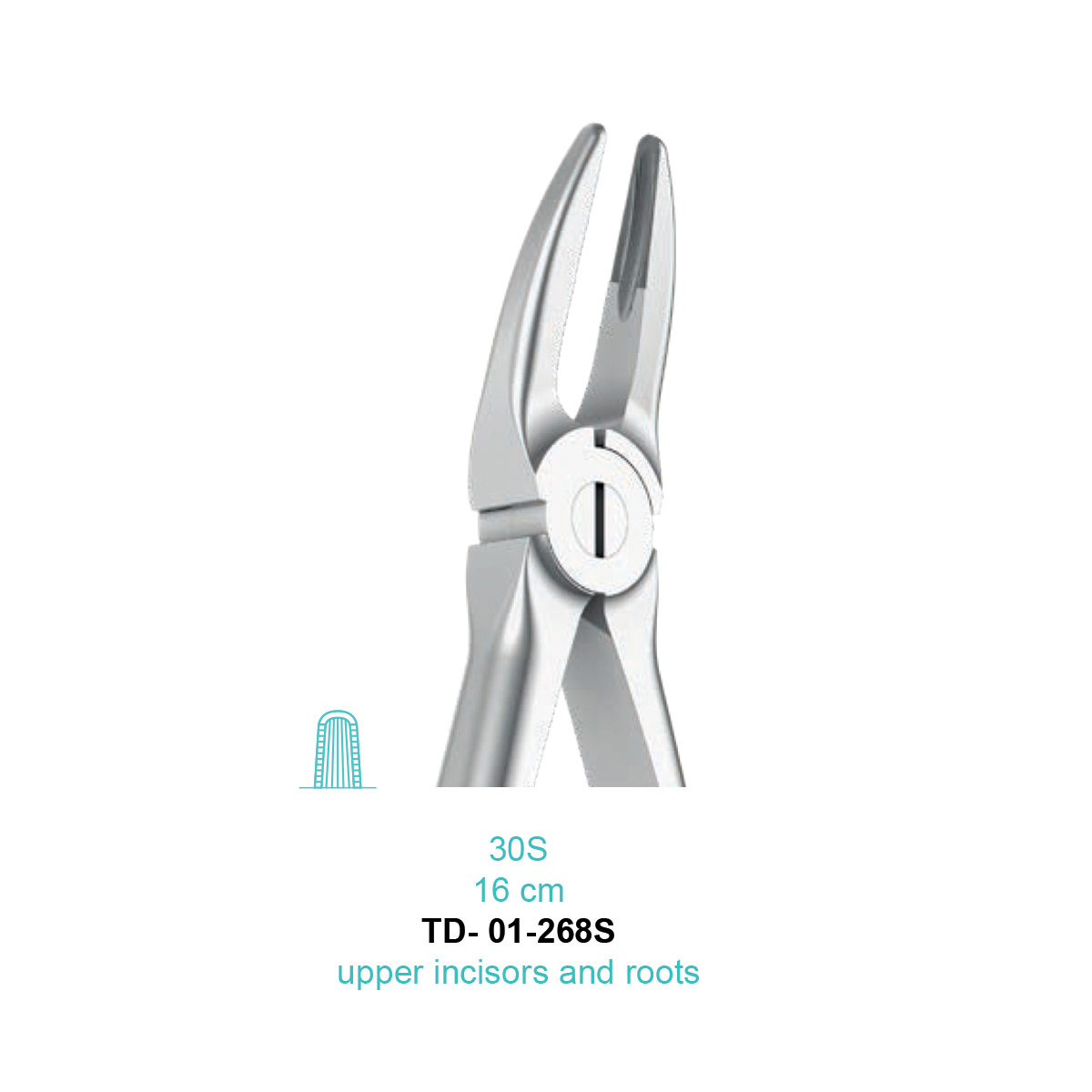 EXTRACTING FORCEPS FOR CHILDREN – Telo Dent Instruments